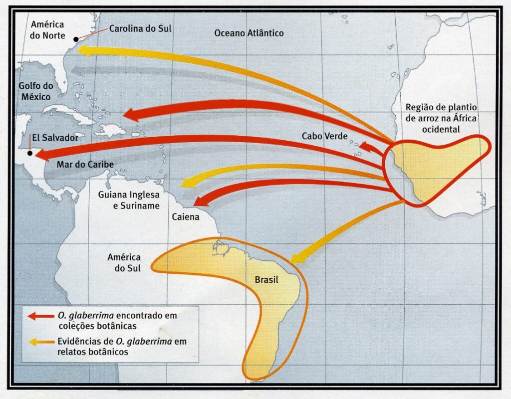 Home - Antipode Online